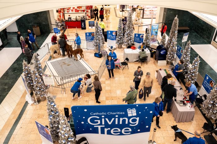 CC Twin Cities - 2026 Giving Tree